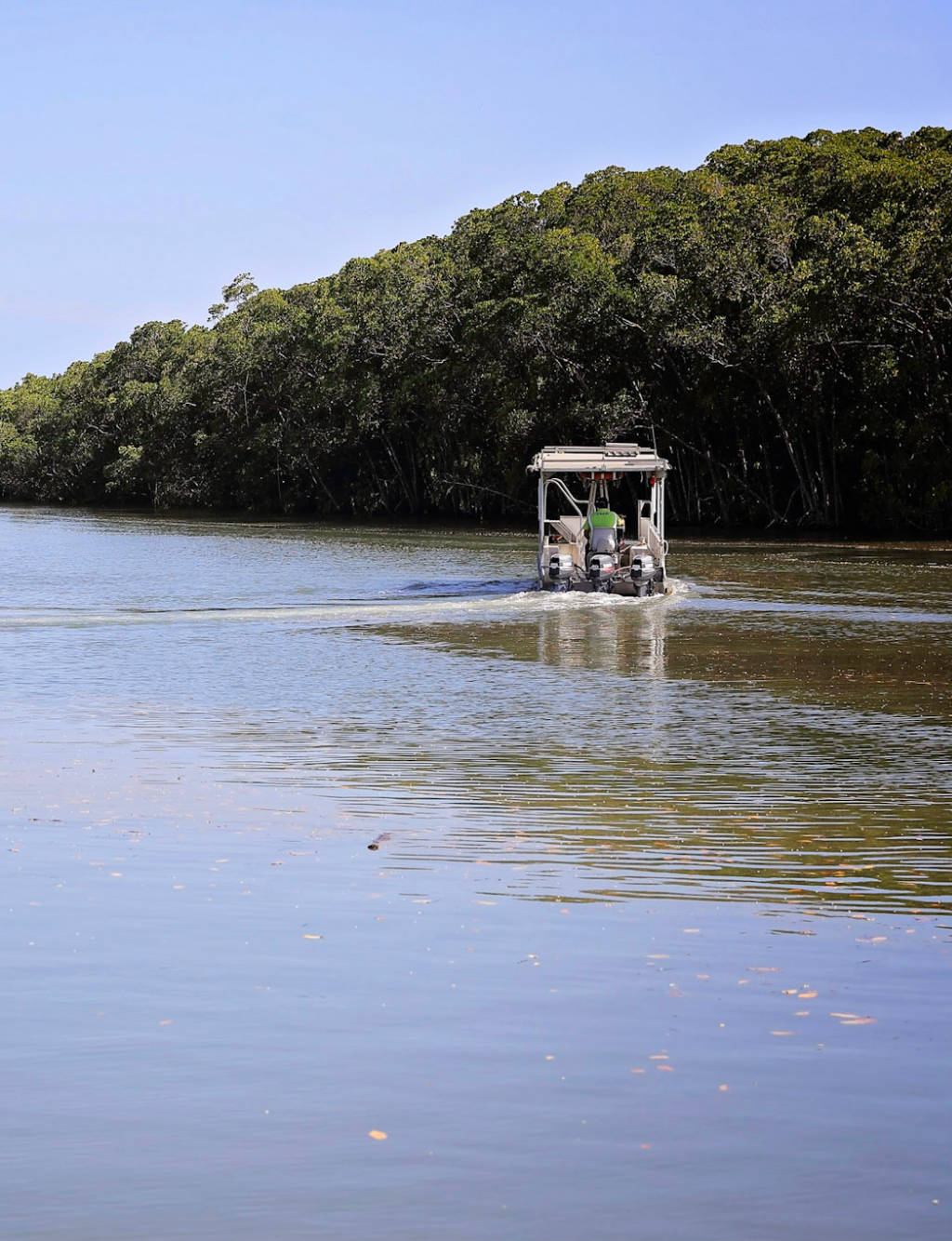 Gallery - Mandingalbay Authentic Indigenous Tours