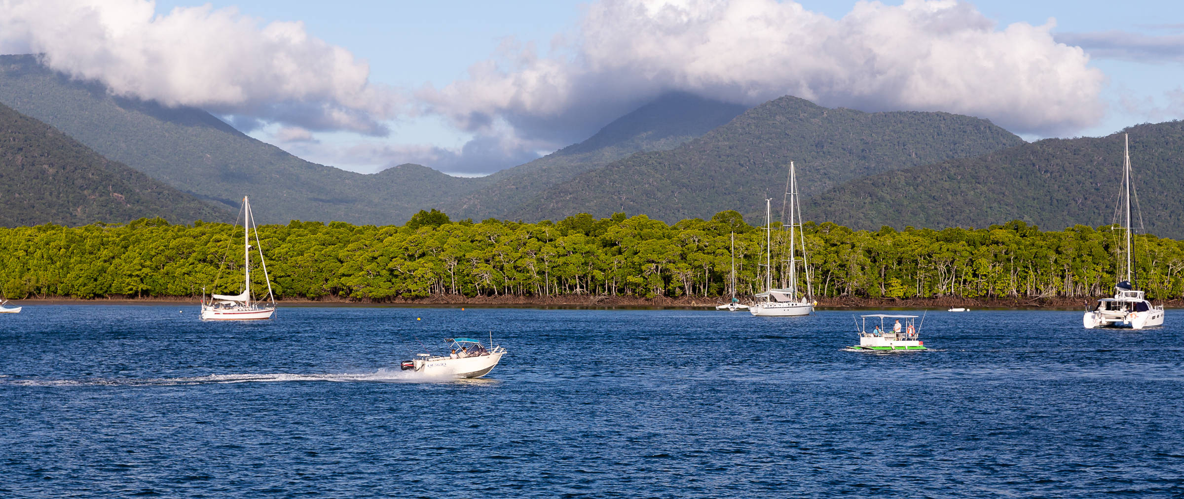 Gallery - Mandingalbay Authentic Indigenous Tours